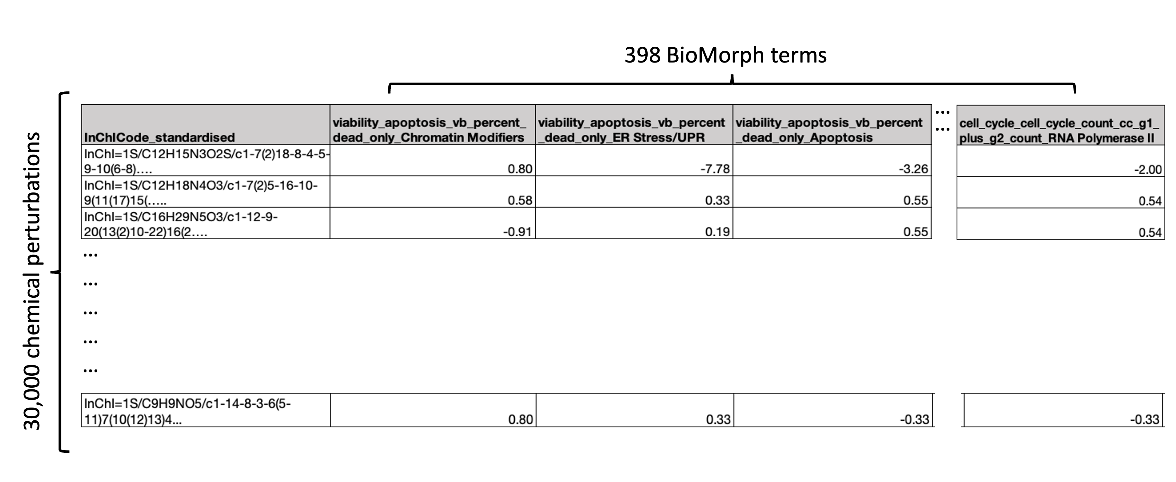 Datasets - BioMorph-Dataset